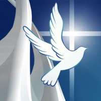 MURRUMBEENA PARISH: : Parish Newsletter 18 January 2026